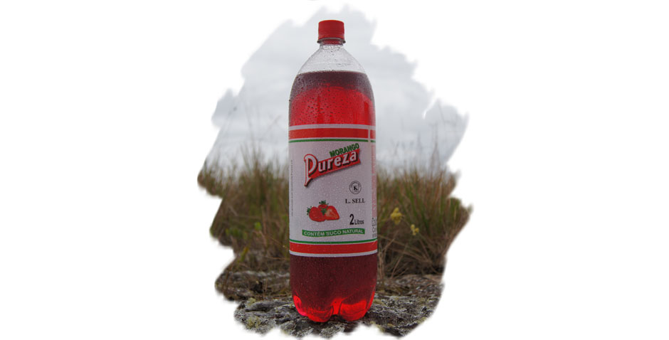 Refrigerantes Pureza